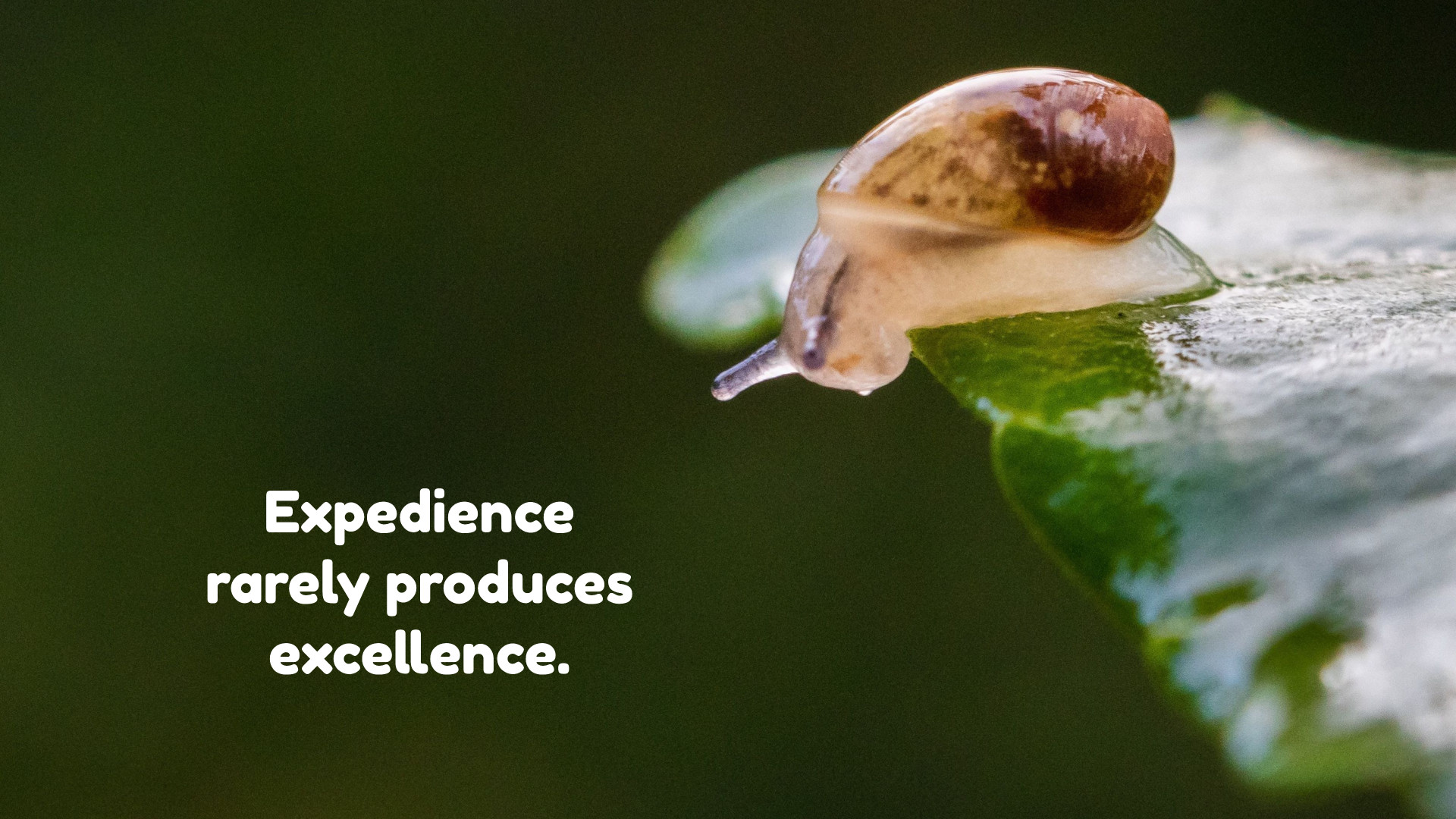 PVMV: Developing Your Strategic Muscle – ONPURPOSE.me